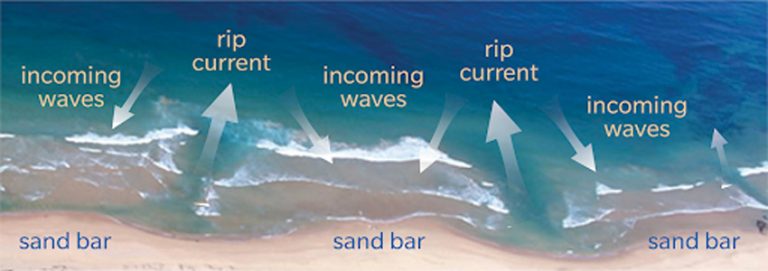 Aprender a Hacer Surf: Guía Completa para Empezar a Surfear - surfLand